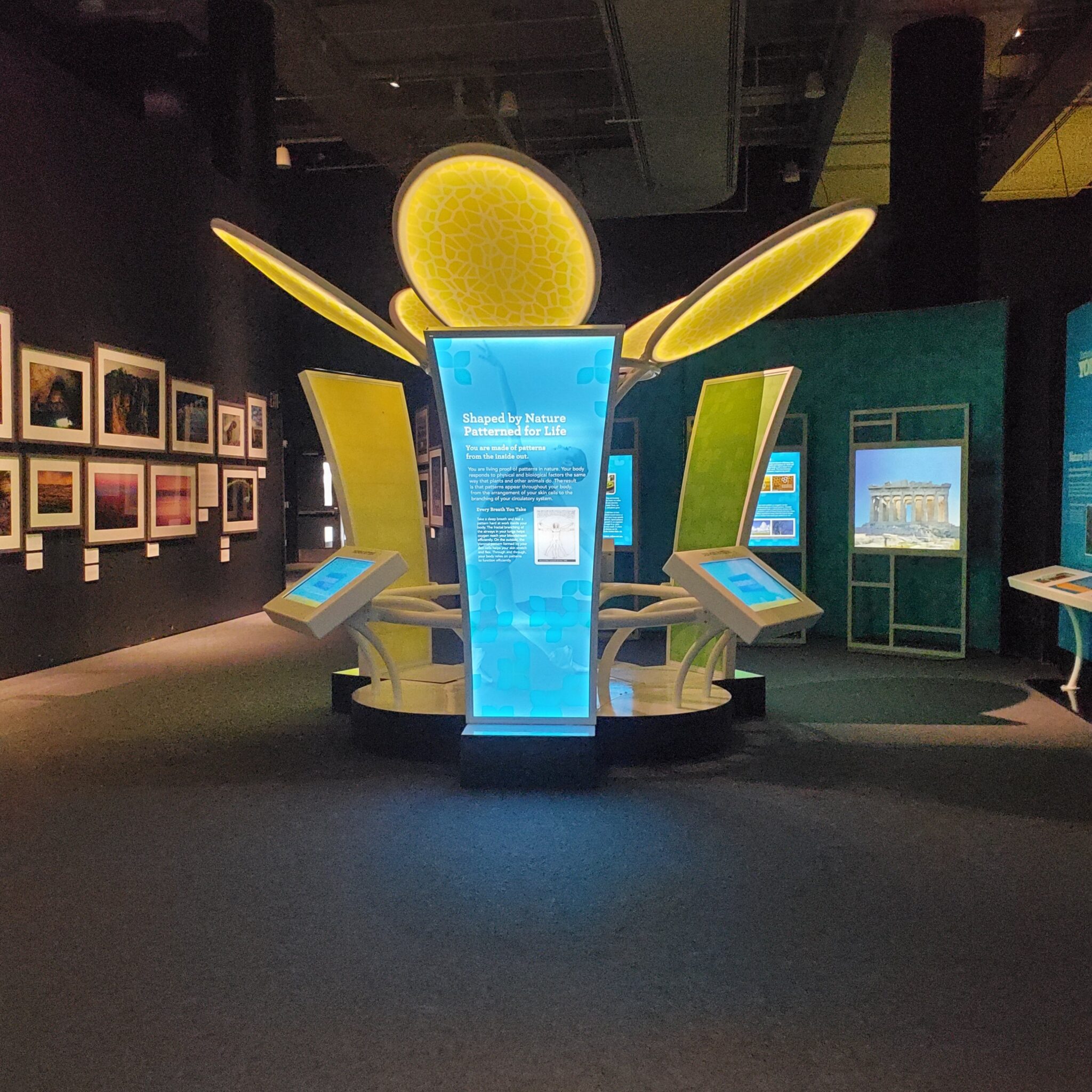 It's All About Frost Science Museum - interNATionalcaty