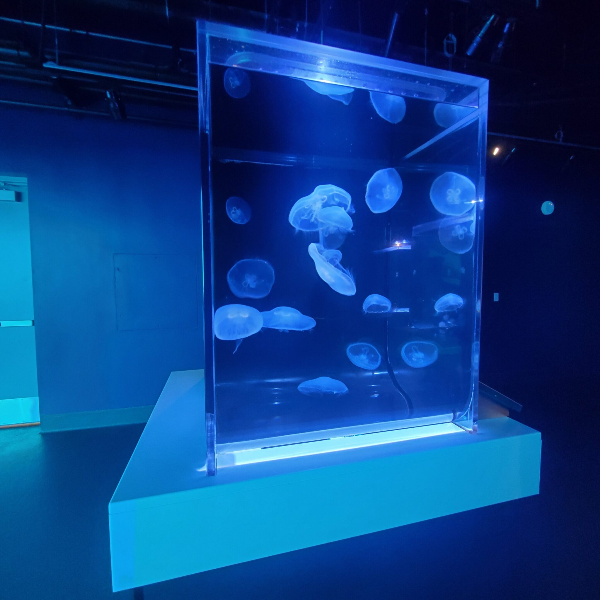 It's All About Frost Science Museum - interNATionalcaty