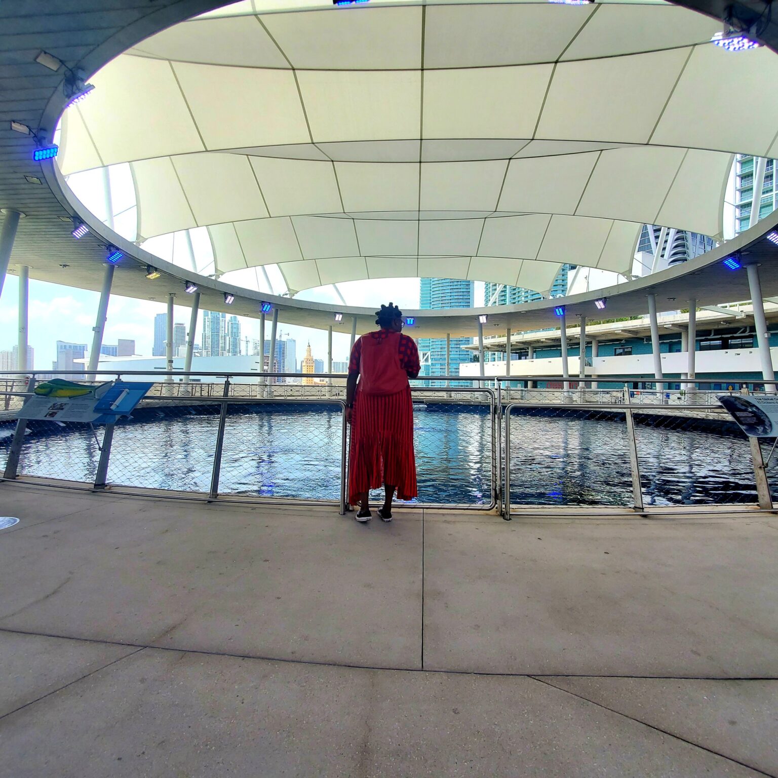 It's All About Frost Science Museum - interNATionalcaty